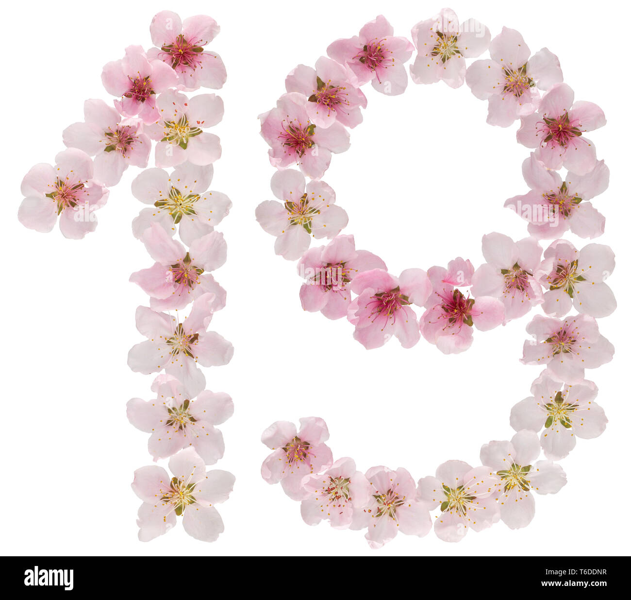 Numeral 19, nineteen, from natural pink flowers of peach tree, isolated ...