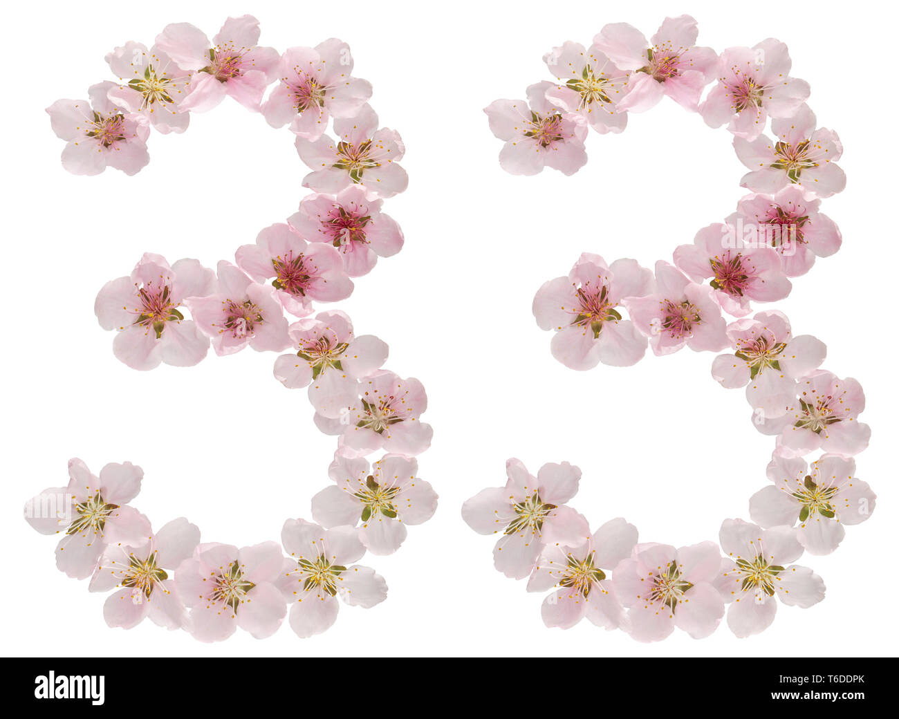 Numeral 33, thirty three, from natural pink flowers of peach tree ...