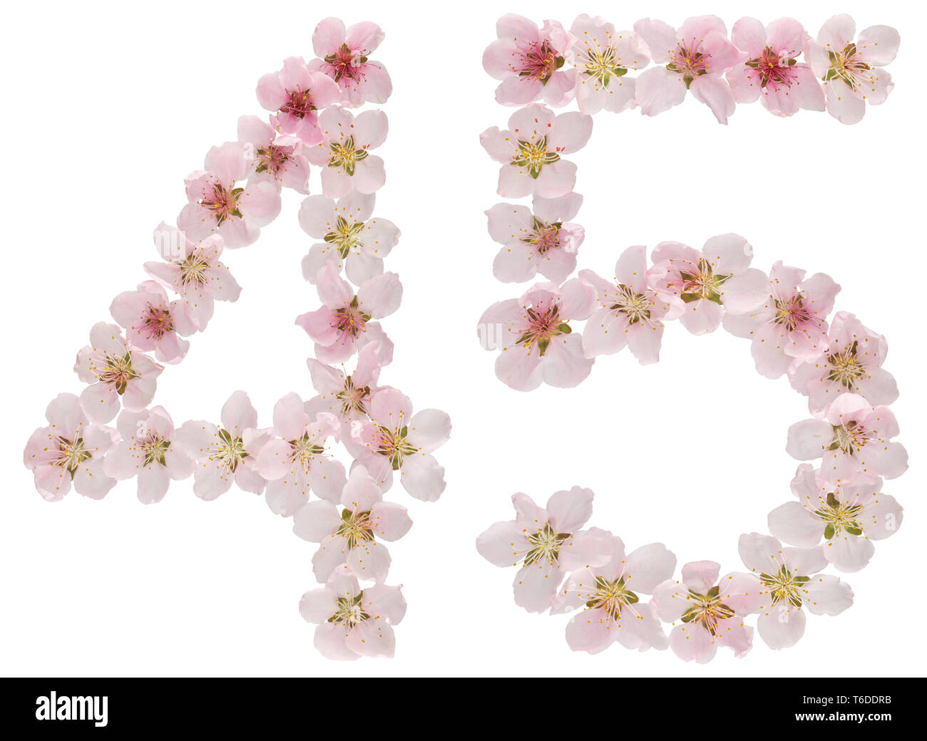 Numeral 45, forty five, from natural pink flowers of peach tree ...