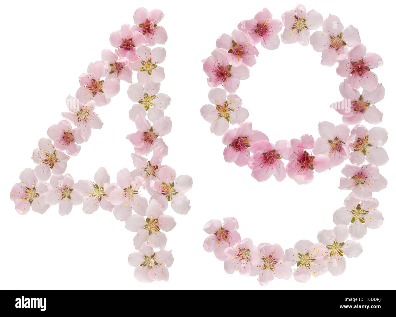 Numeral 49, forty nine, from natural pink flowers of peach tree ...