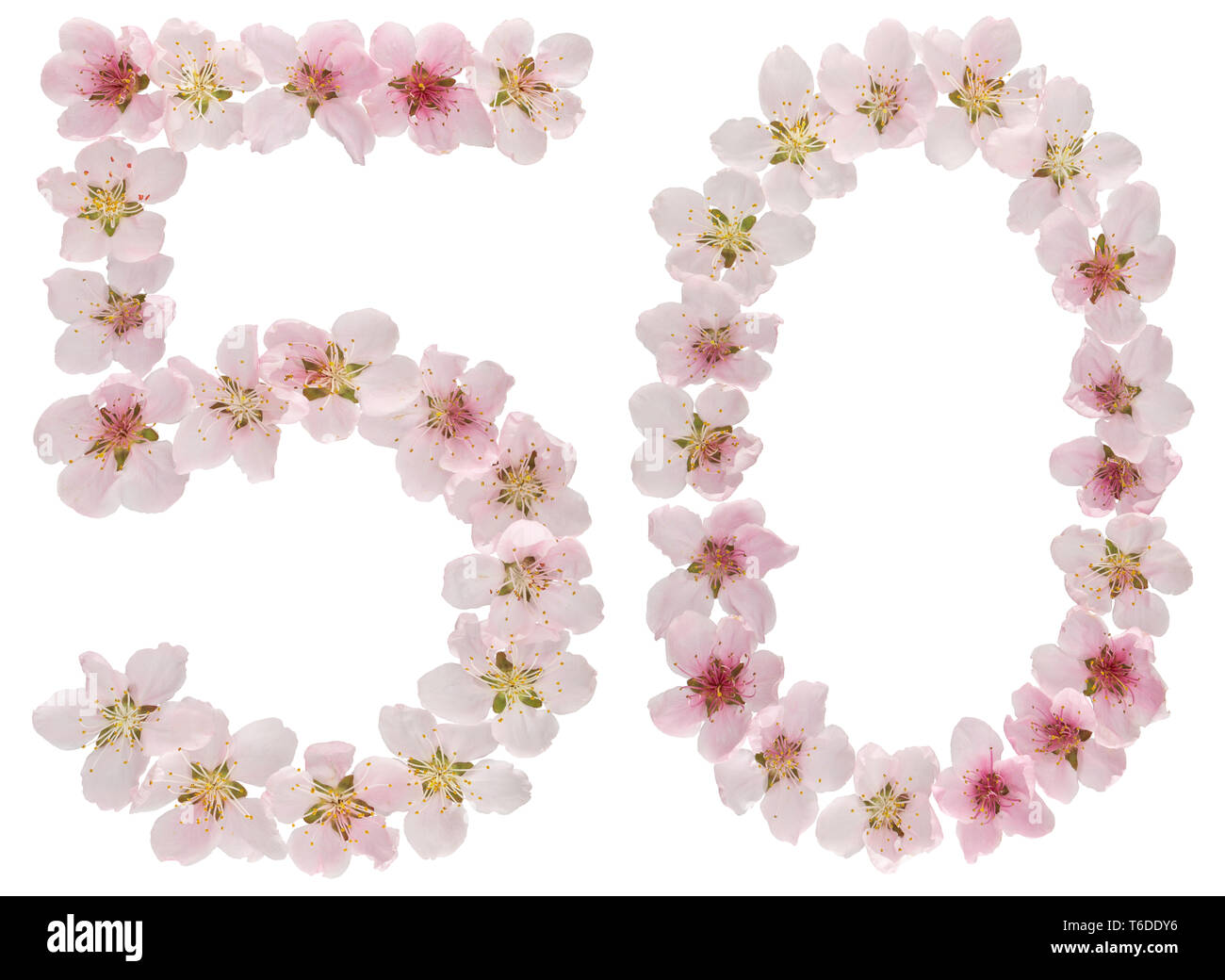 Numeral 50, fifty, from natural pink flowers of peach tree, isolated on ...