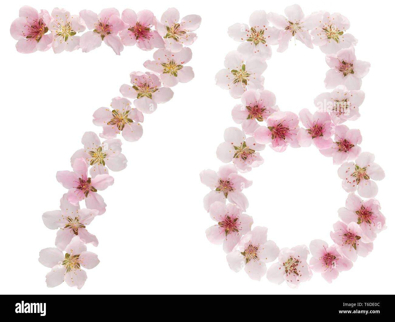 Numeral 78, seventy eight, from natural pink flowers of peach tree ...