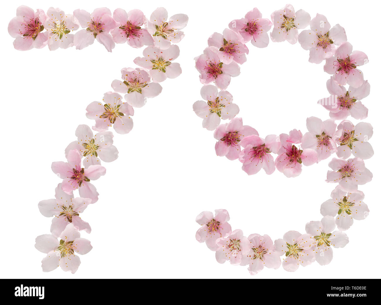 Numeral 79, seventy nine, from natural pink flowers of peach tree ...