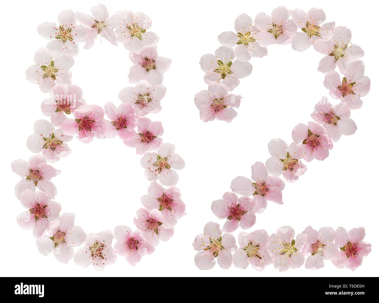 Numeral 82, eighty two, from natural pink flowers of peach tree ...
