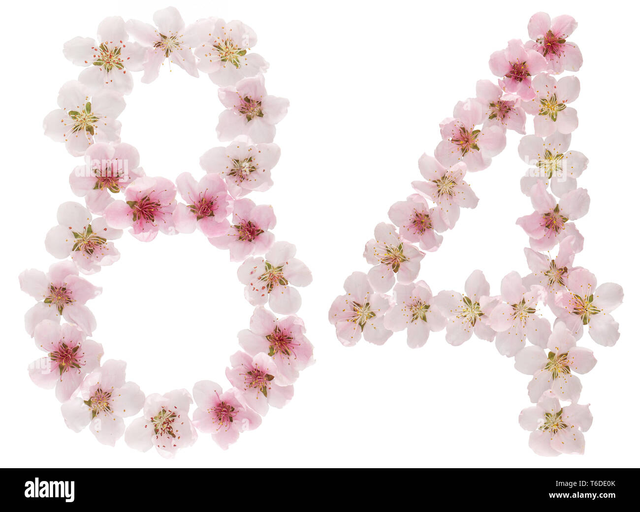 Numeral 84, eighty four, from natural pink flowers of peach tree ...