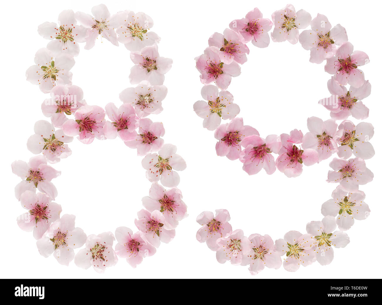 Numeral 89, eighty nine, from natural pink flowers of peach tree ...