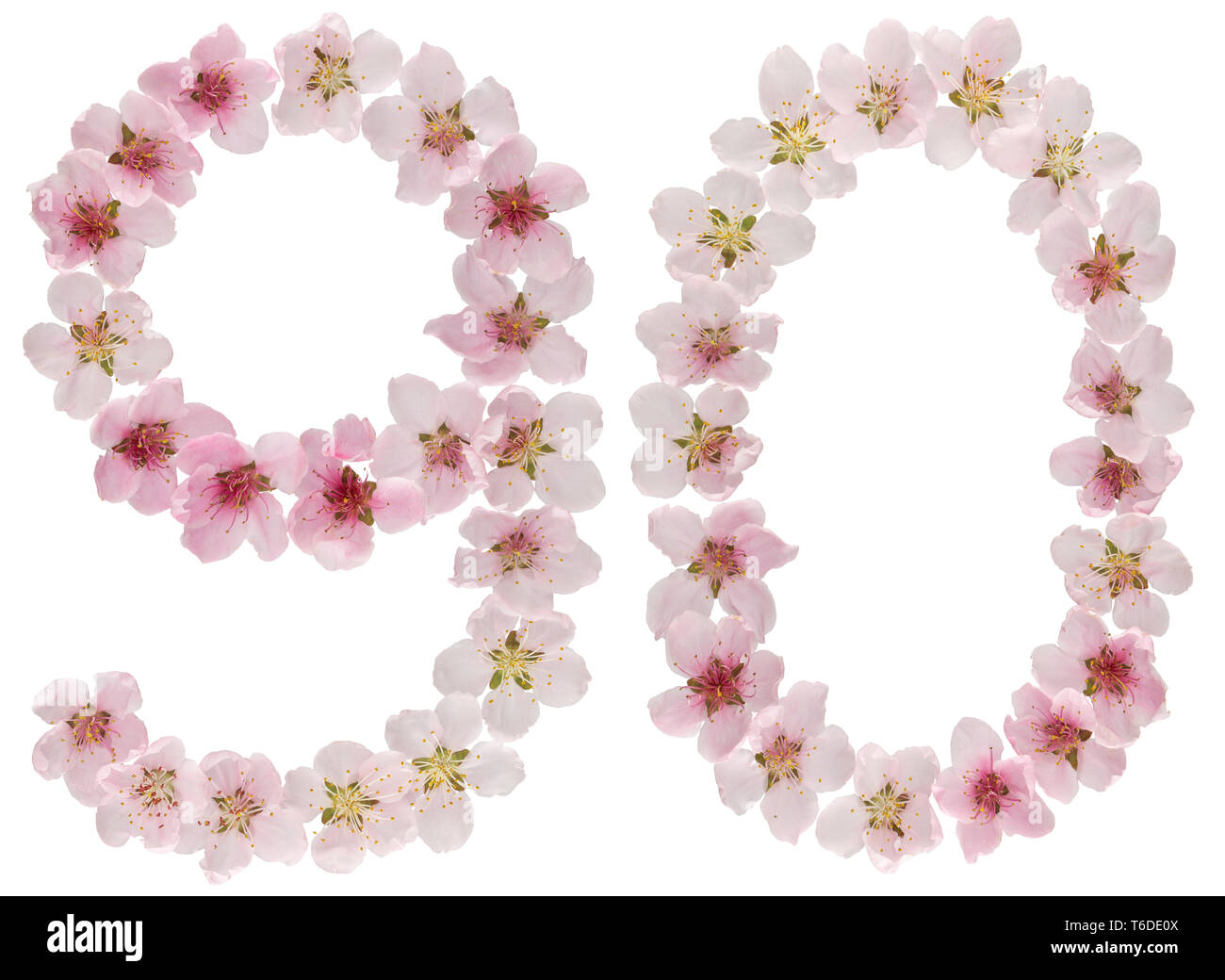 Numeral 90, ninety, from natural pink flowers of peach tree, isolated ...