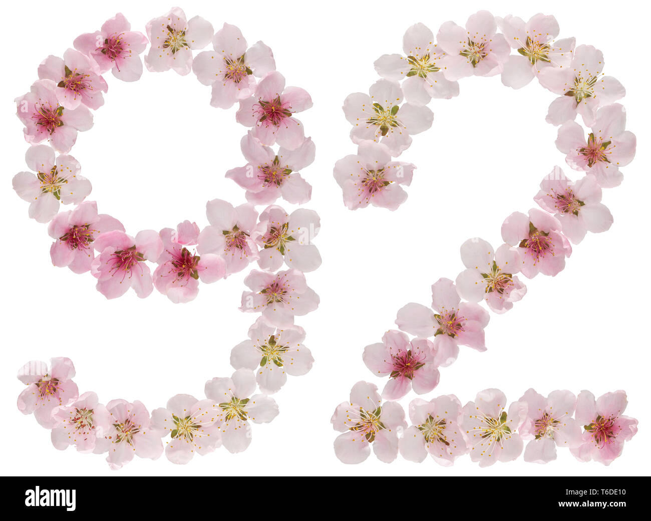Numeral 92, ninety two, from natural pink flowers of peach tree ...