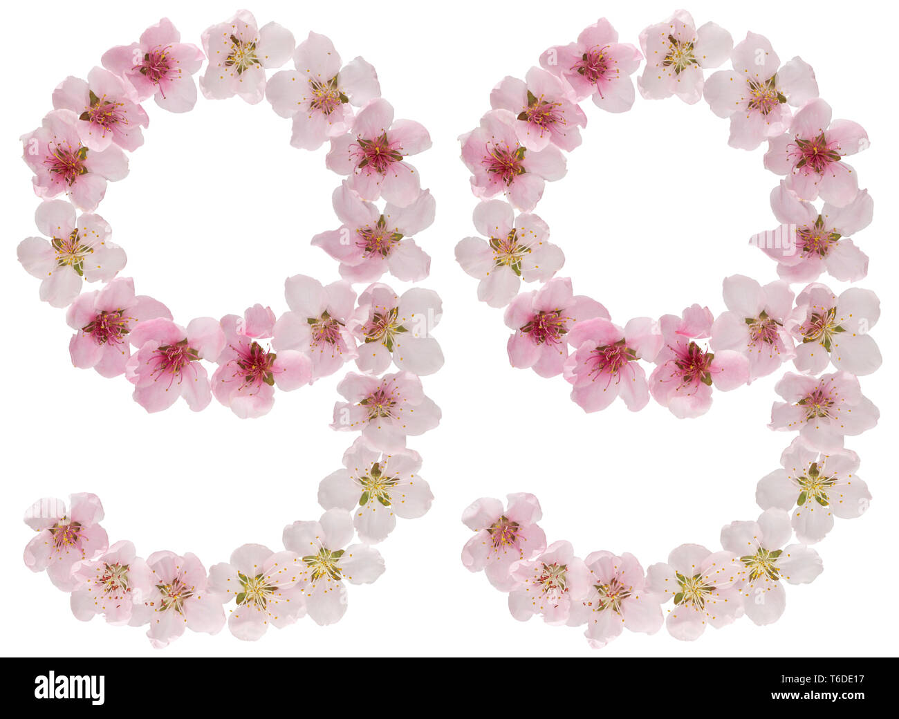 Numeral 99, ninety nine, from natural pink flowers of peach tree ...