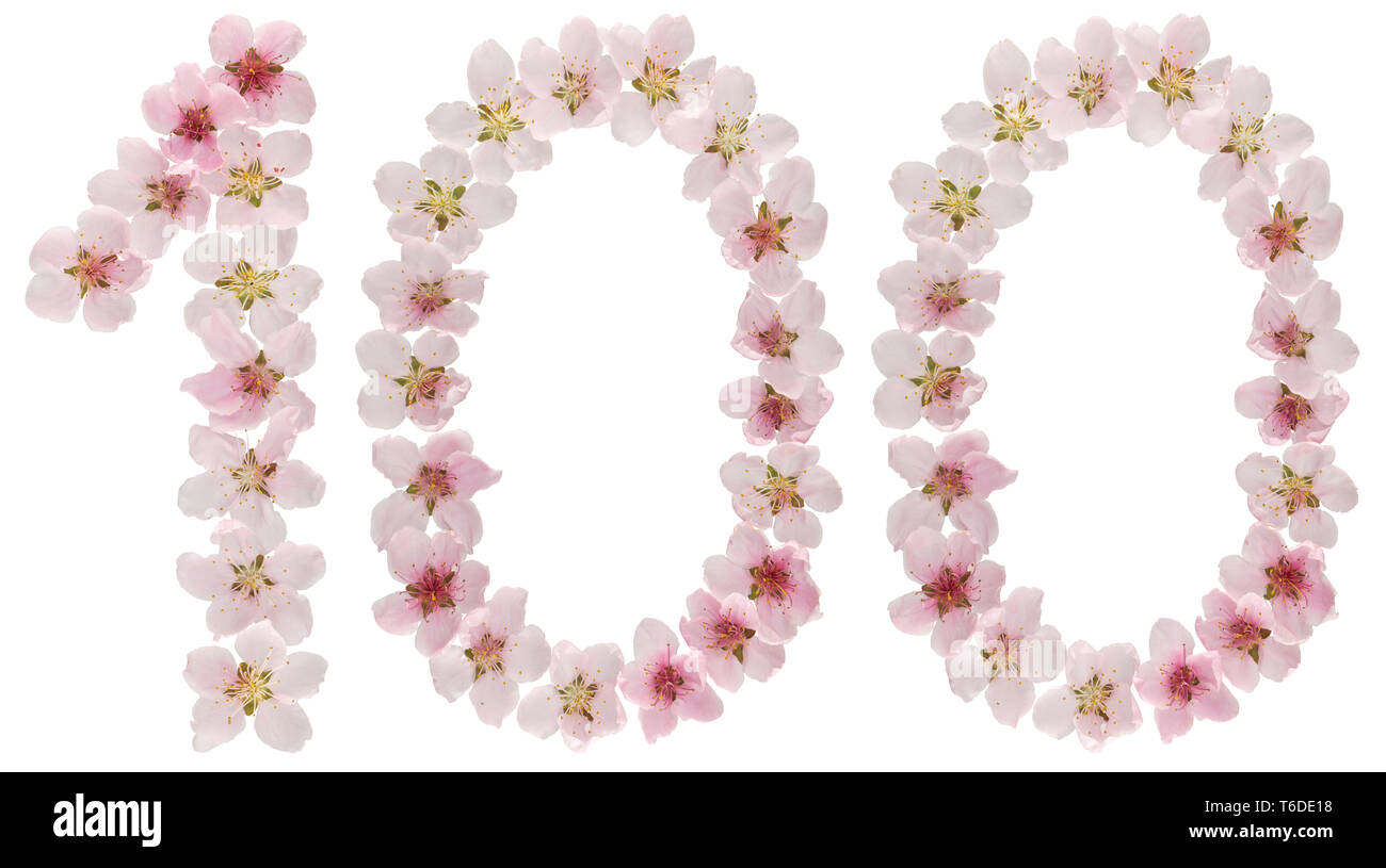 Numeral 100, one hundred, from natural pink flowers of peach tree ...