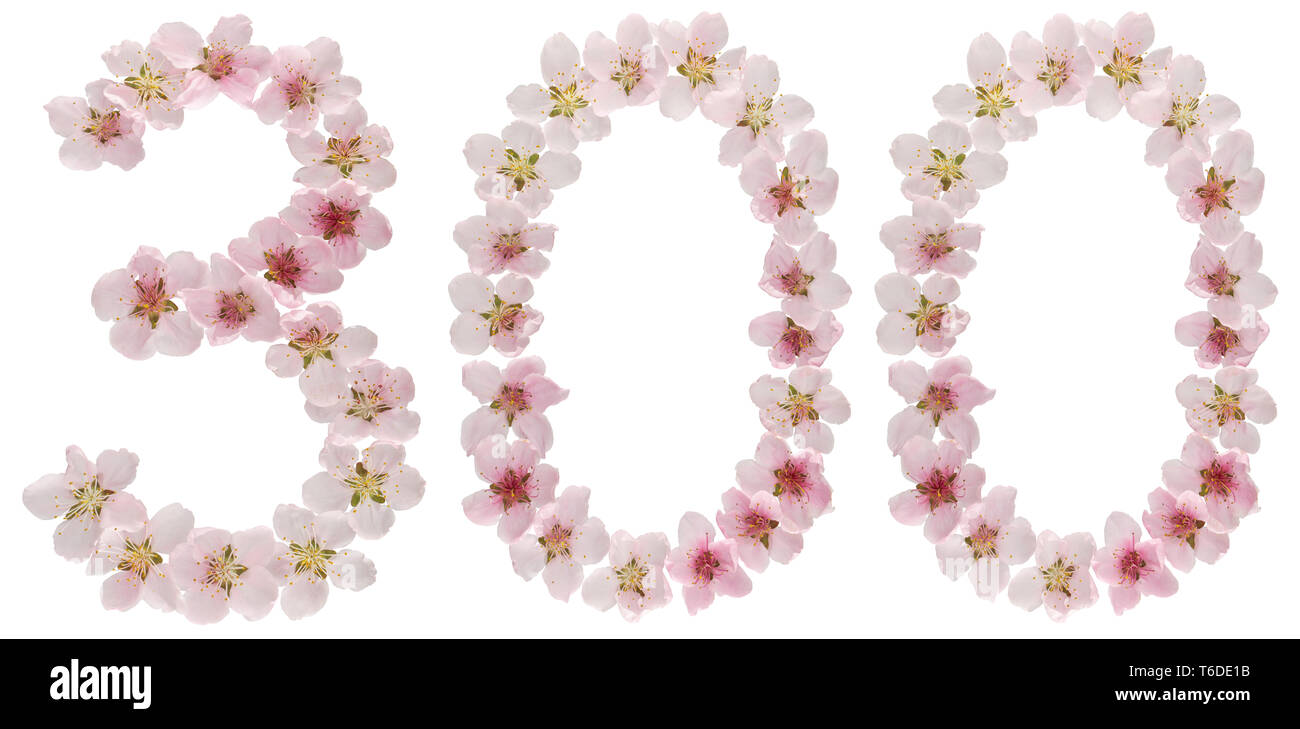 Numeral 300, three hundred, from natural pink flowers of peach tree ...