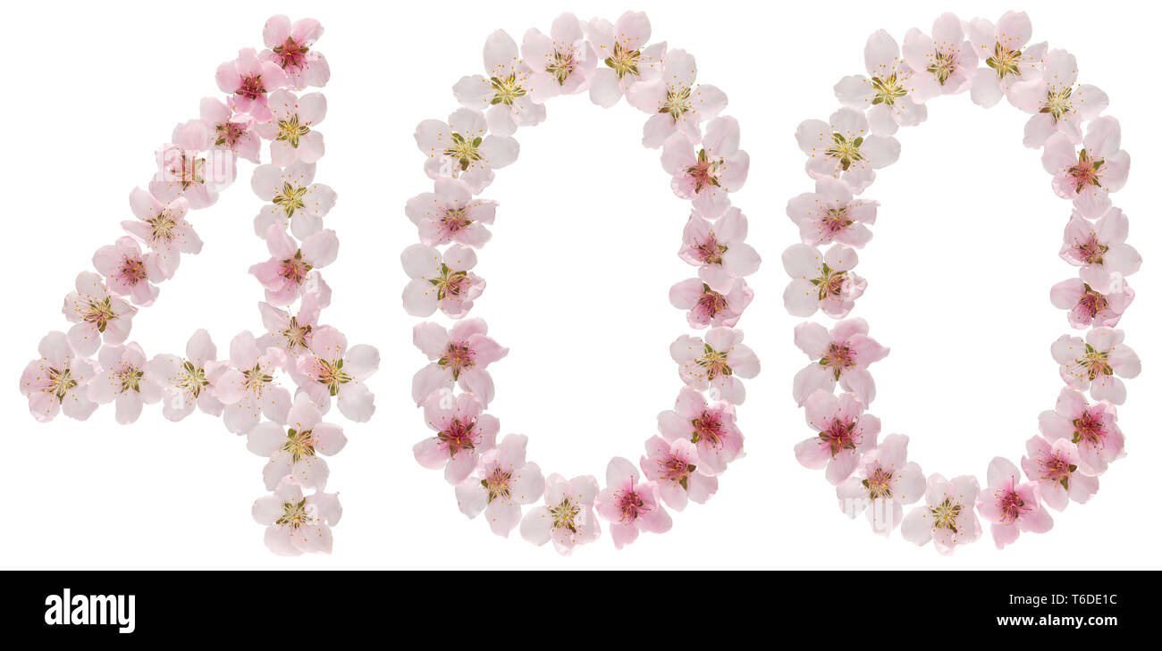 Numeral 400, four hundred, from natural pink flowers of peach tree ...