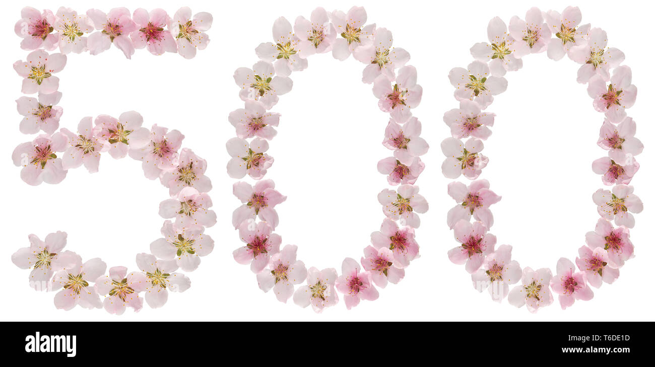 Numeral 500, five hundred, from natural pink flowers of peach tree ...