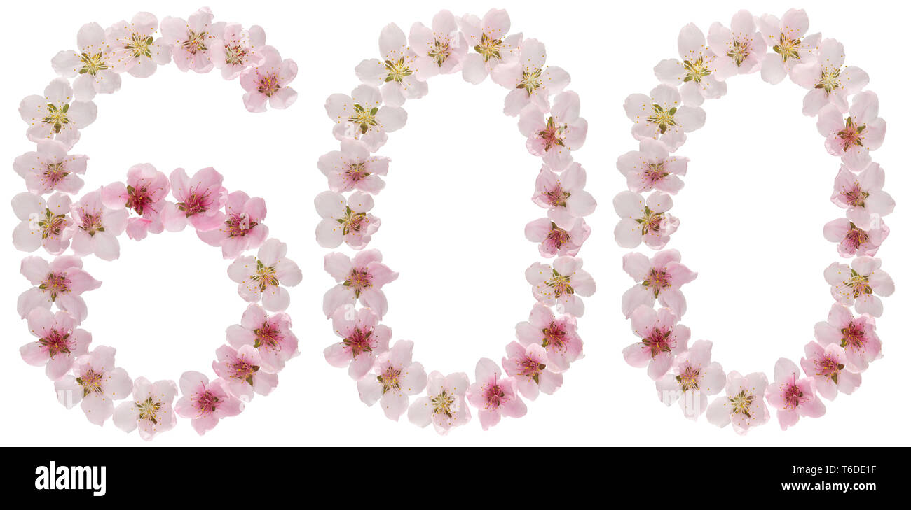 Numeral 600, six hundred, from natural pink flowers of peach tree ...