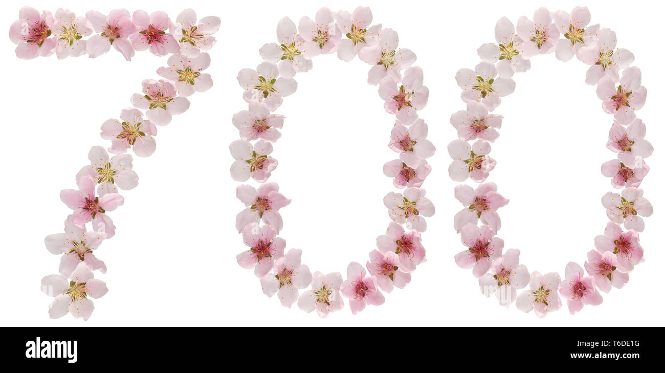 Numeral 700, seven hundred, from natural pink flowers of peach tree ...
