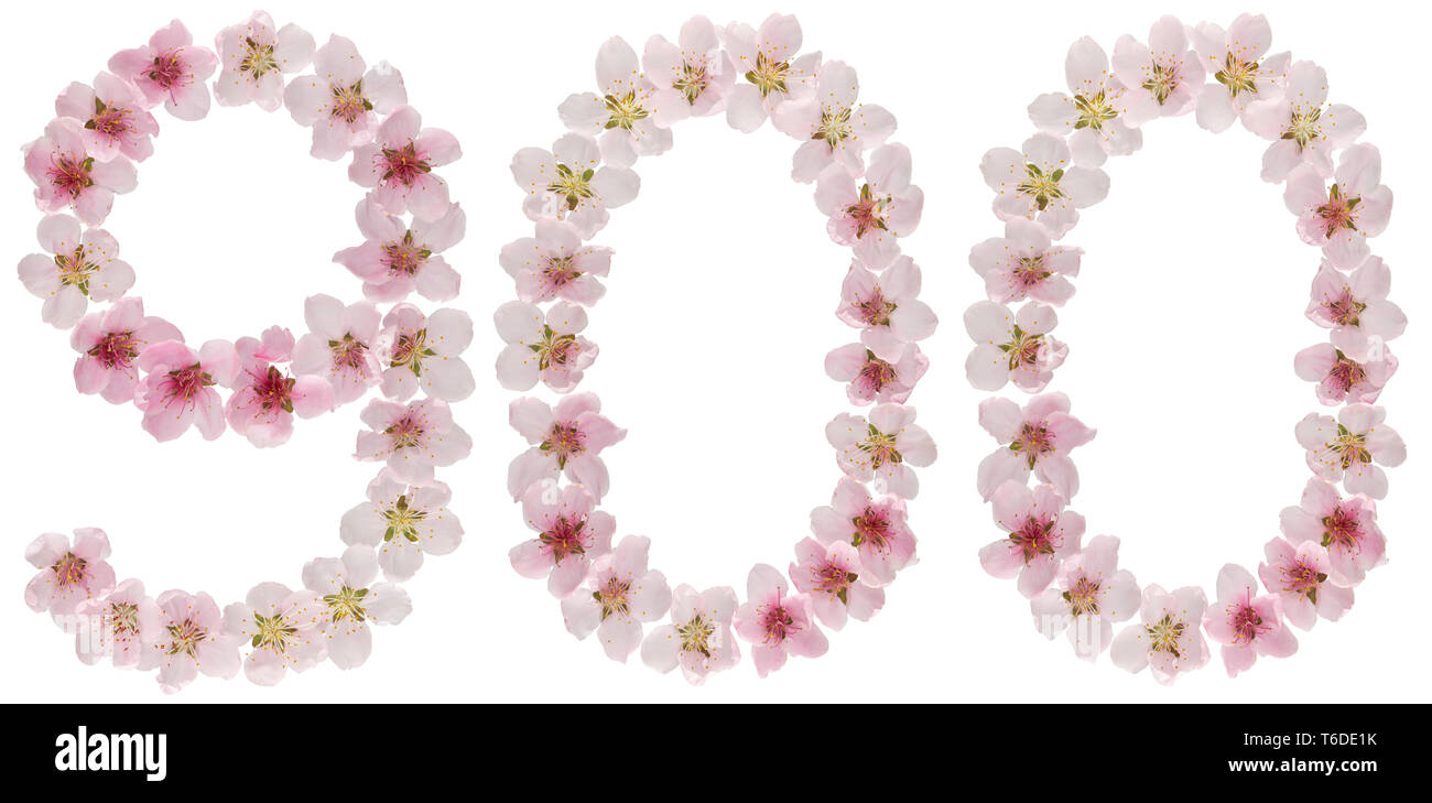 Numeral 900, nine hundred, from natural pink flowers of peach tree ...