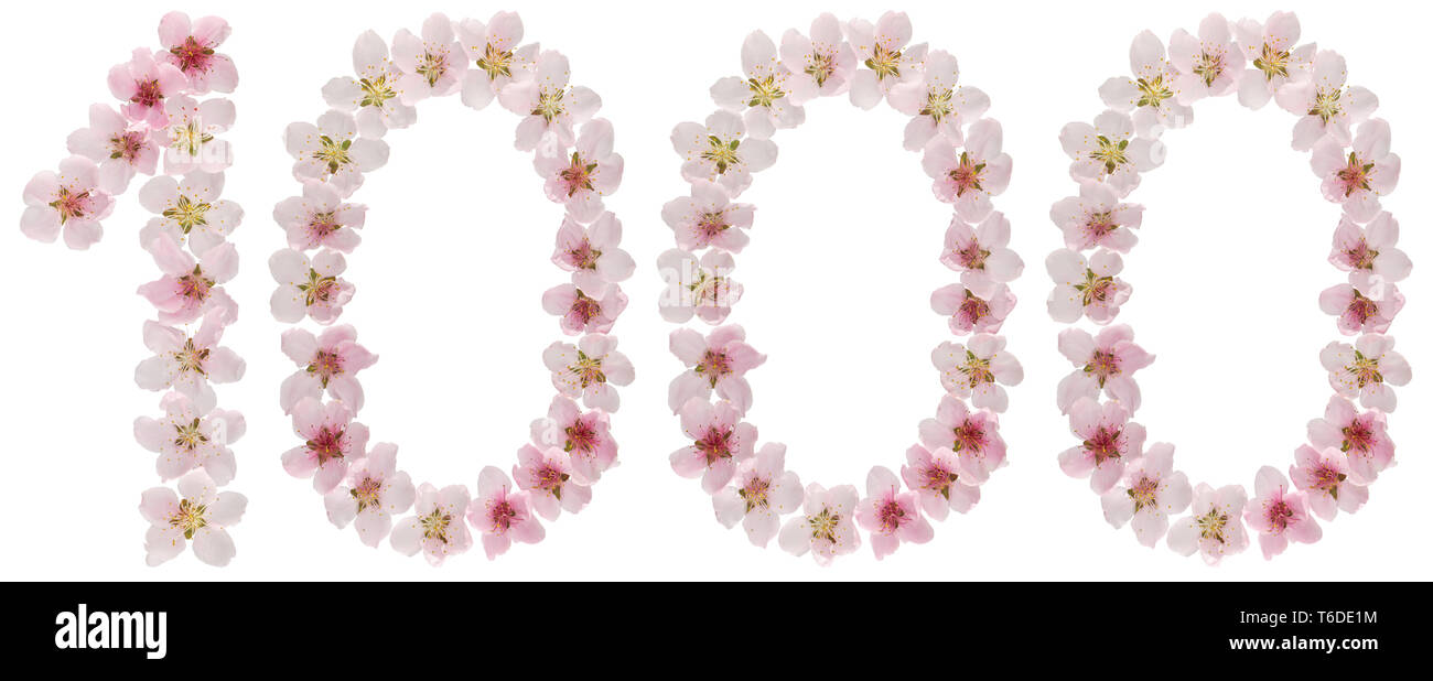 Numeral 1000, one thousand, from natural pink flowers of peach tree ...