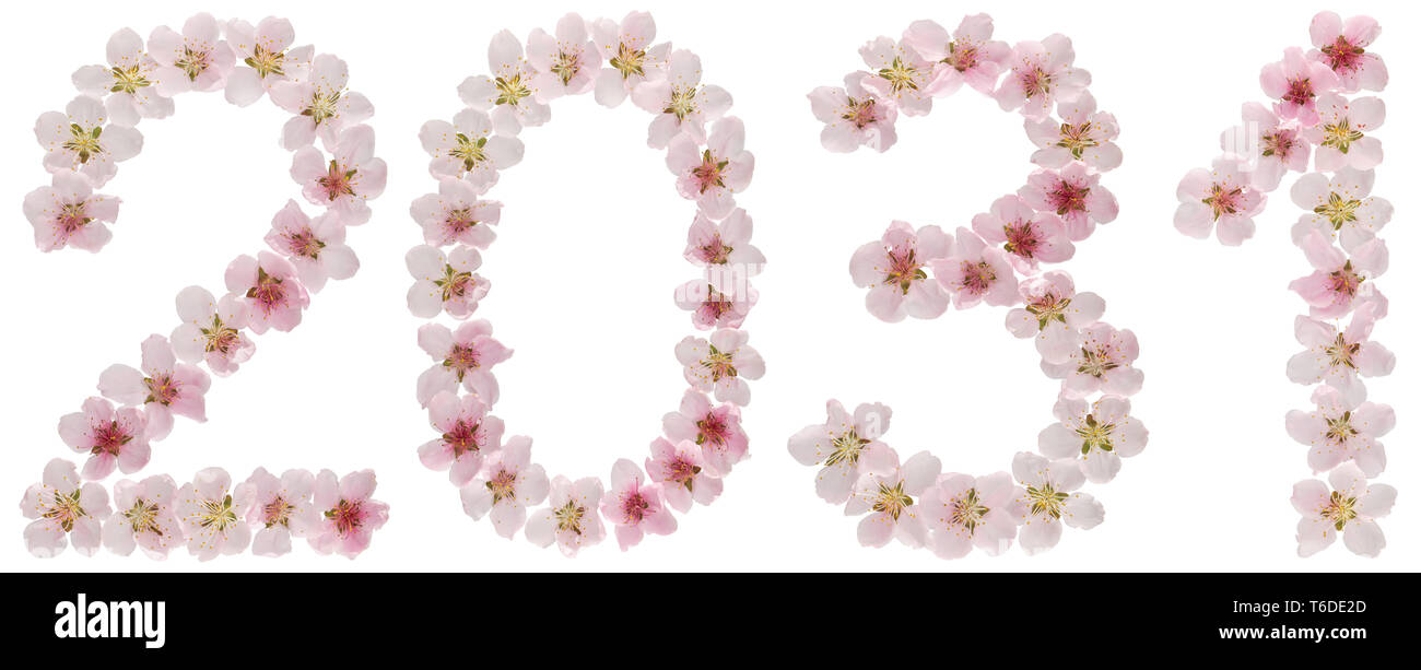 Inscription 2031, from natural pink flowers of peach tree, isolated on ...