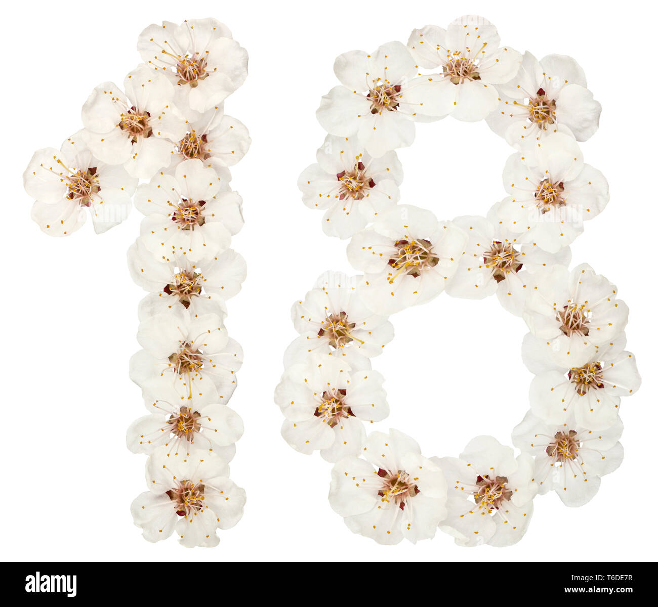Numeral 18, eighteen, from natural white flowers of apricot tree ...