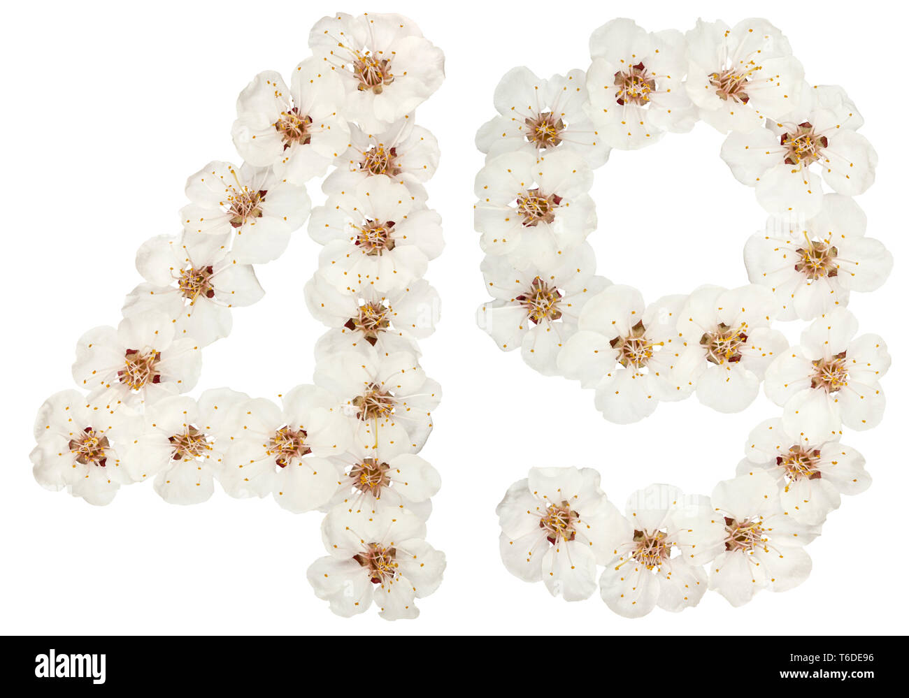 Numeral 49, forty nine, from natural white flowers of apricot tree ...