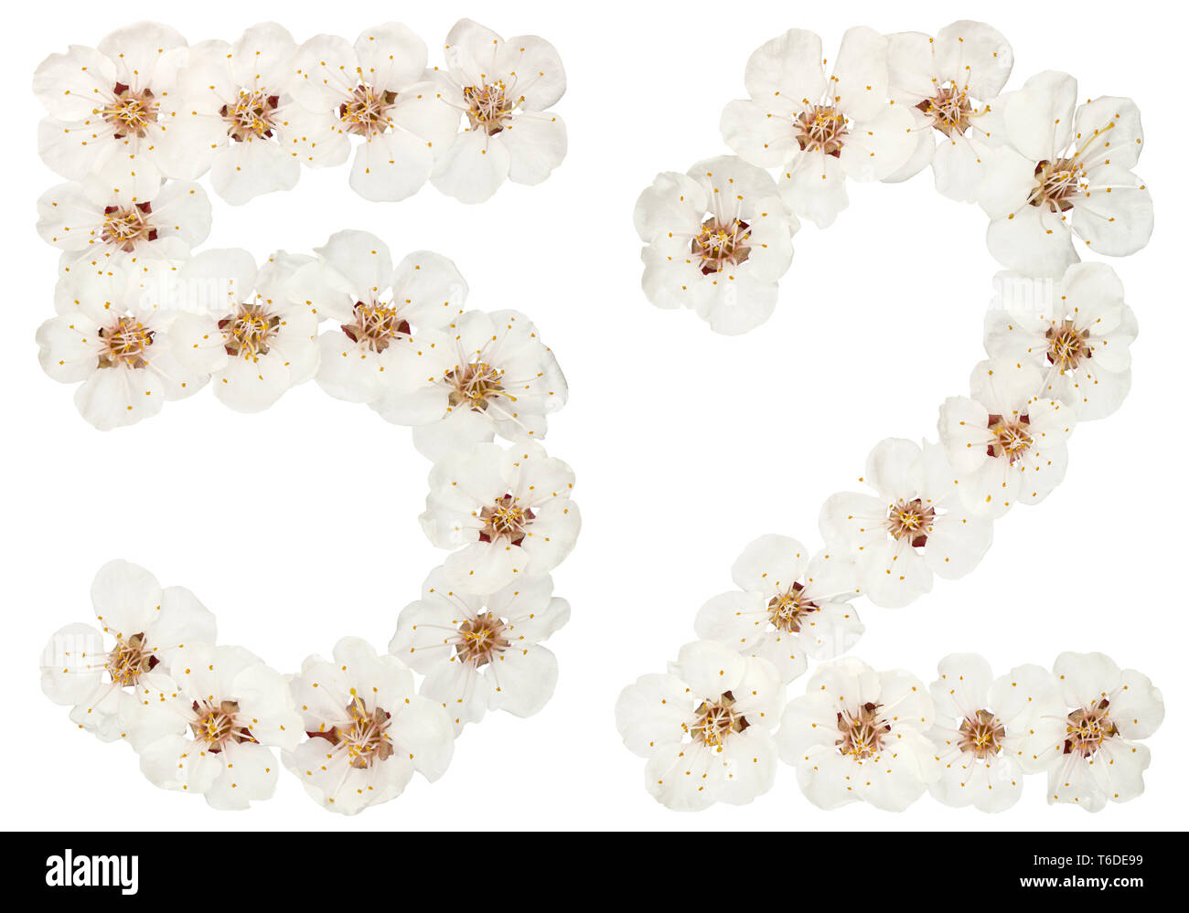 Numeral 52, fifty two, from natural white flowers of apricot tree ...