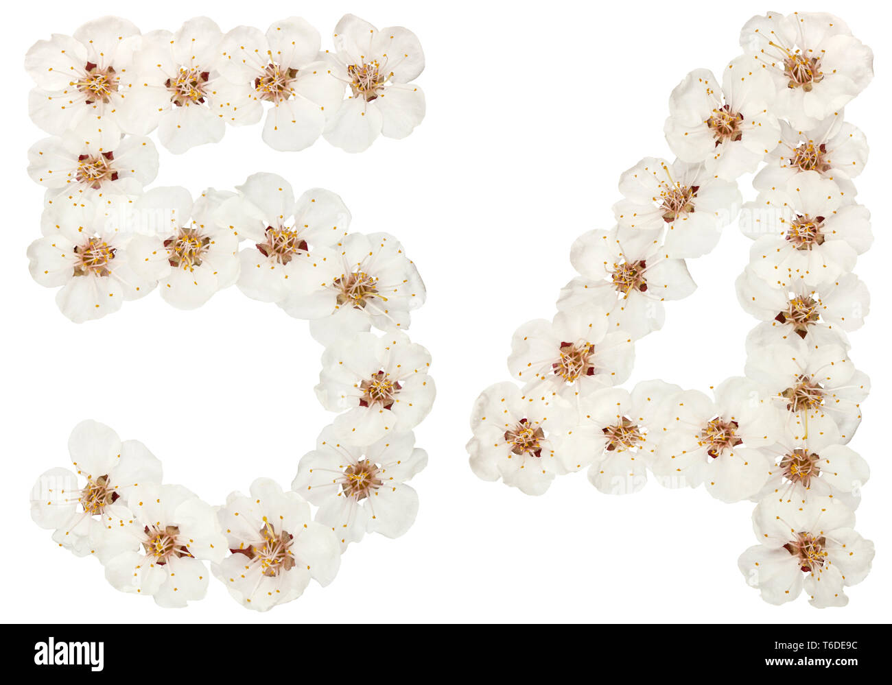 Numeral 54, fifty four, from natural white flowers of apricot tree ...
