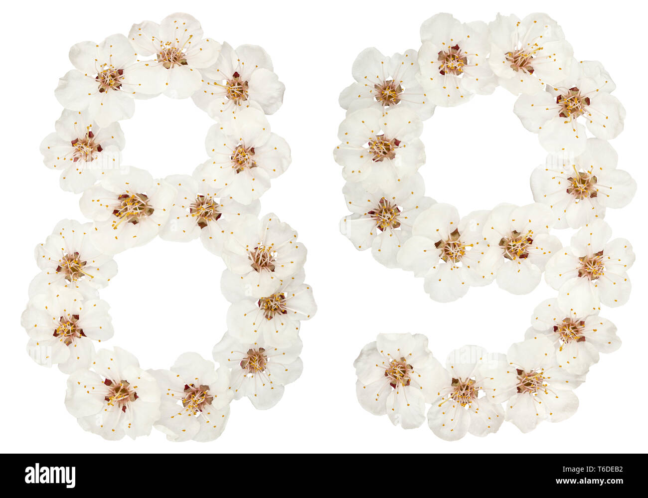 Numeral 89, eighty nine, from natural white flowers of apricot tree ...