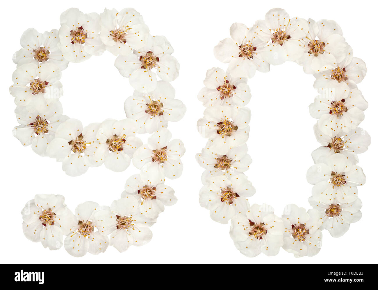 Numeral 90, ninety, from natural white flowers of apricot tree ...