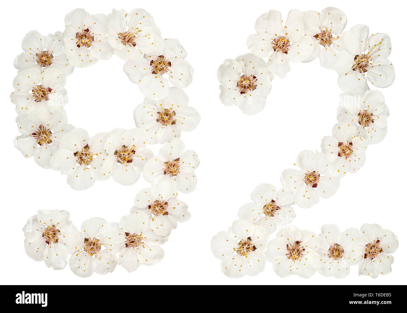 Numeral 92, ninety two, from natural white flowers of apricot tree ...