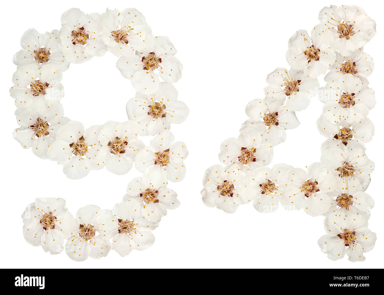 Numeral 94, ninety four, from natural white flowers of apricot tree ...
