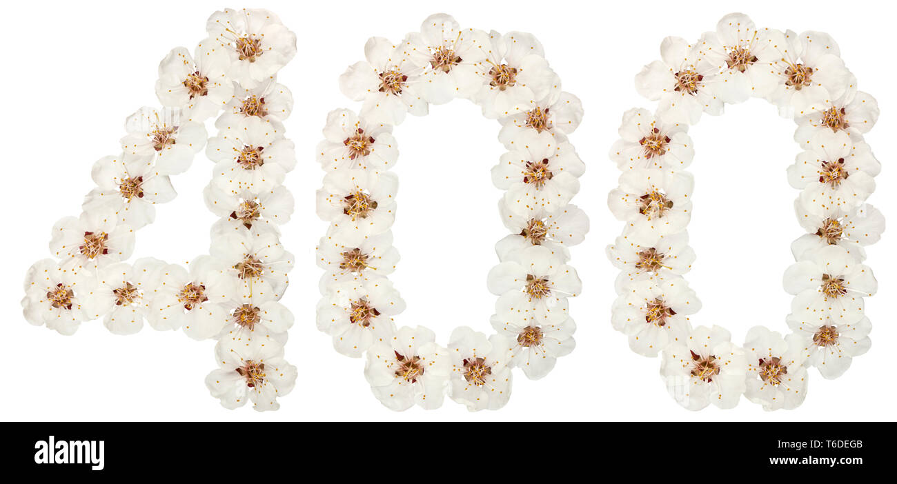 Numeral 400, four hundred, from natural white flowers of apricot tree ...