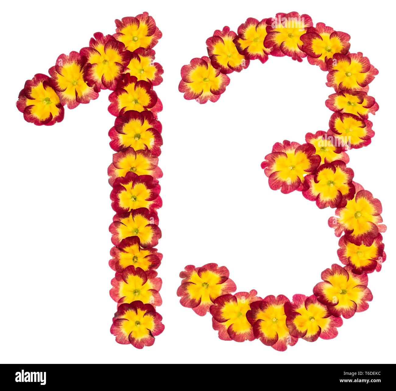Numeral 13, thirteen, from natural flowers of primula, isolated on ...