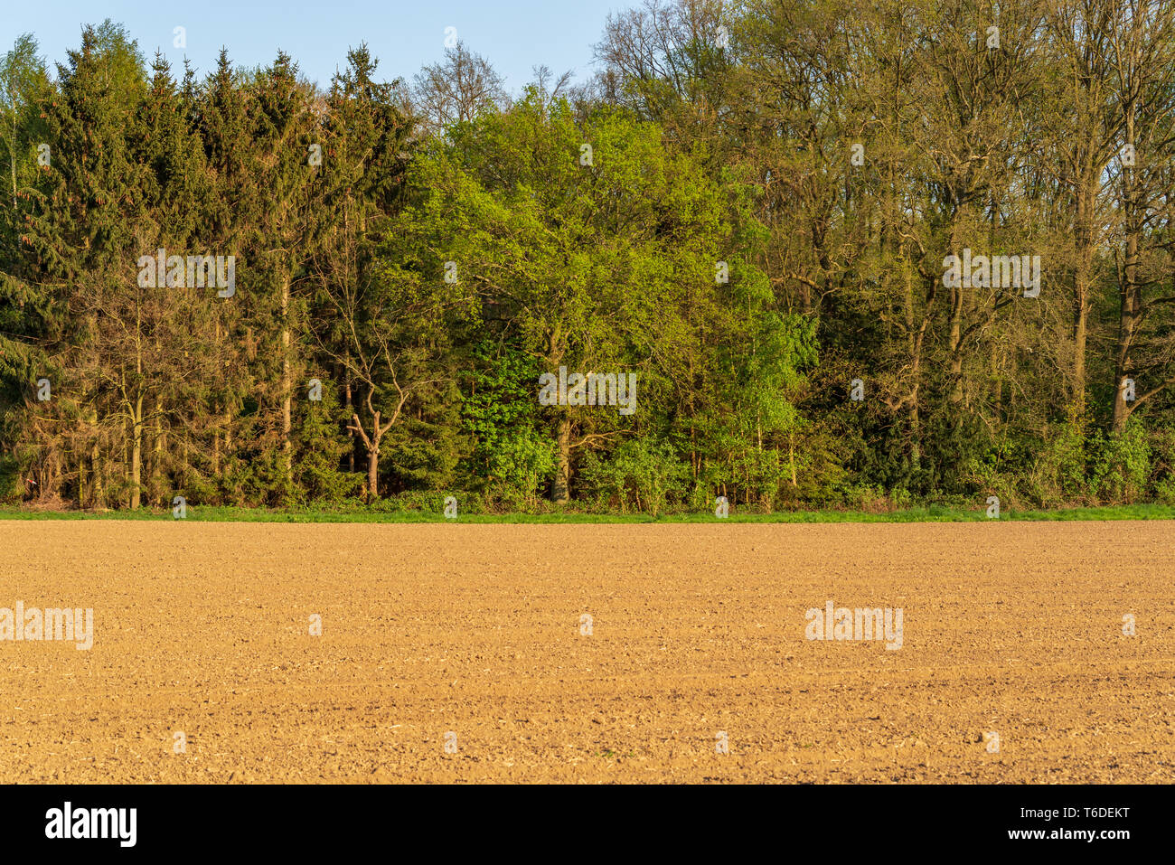 Harrowed field hi-res stock photography and images - Alamy