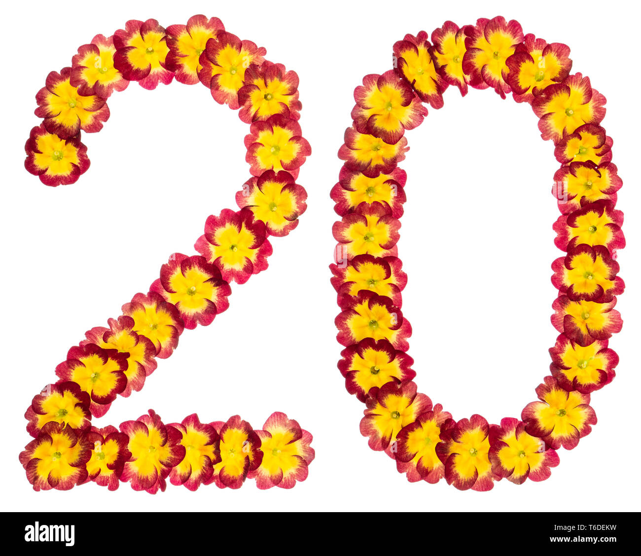 Numeral 20, twenty, from natural flowers of primula, isolated on white ...