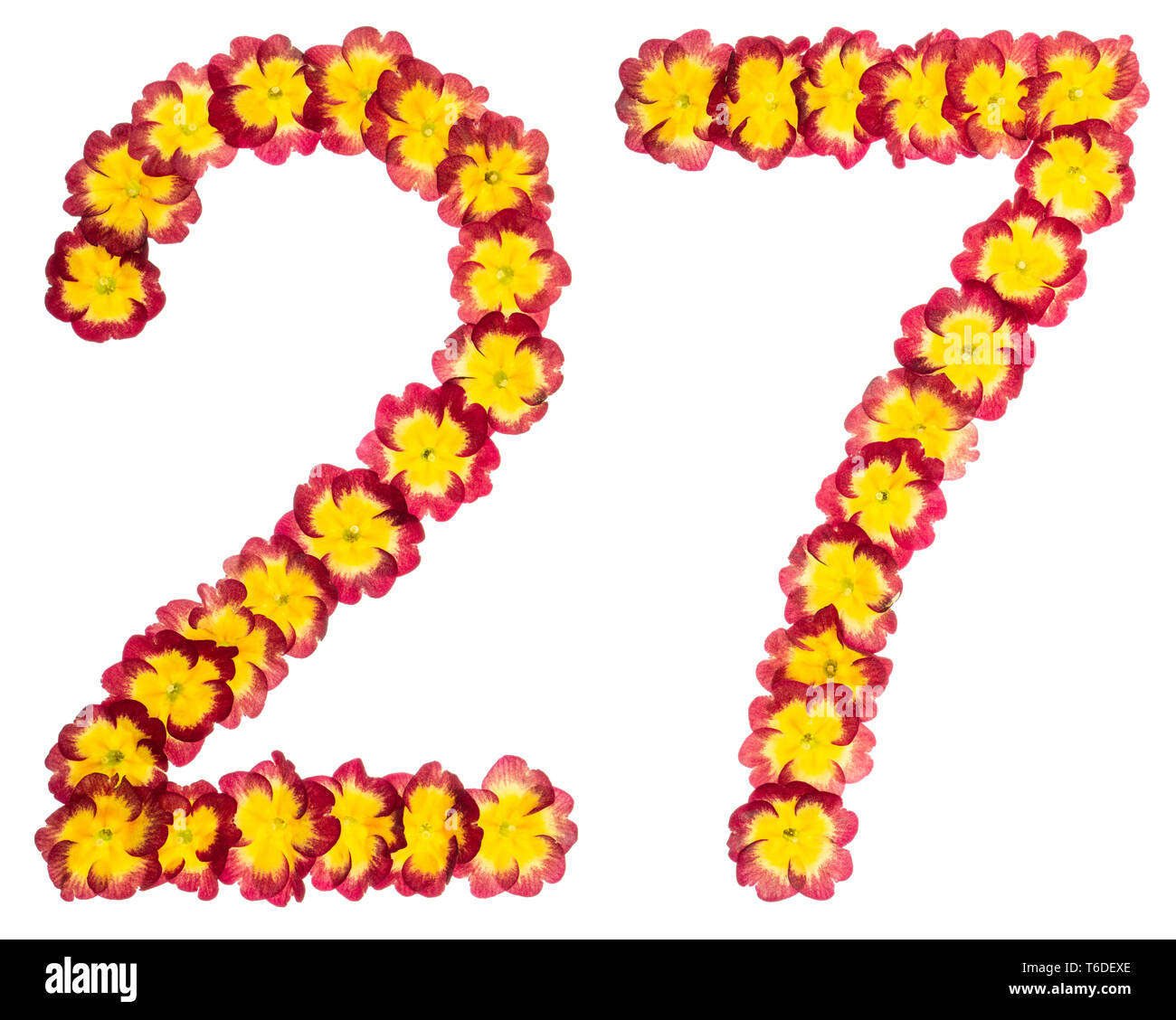 Numeral 27, twenty seven, from natural flowers of primula, isolated on ...