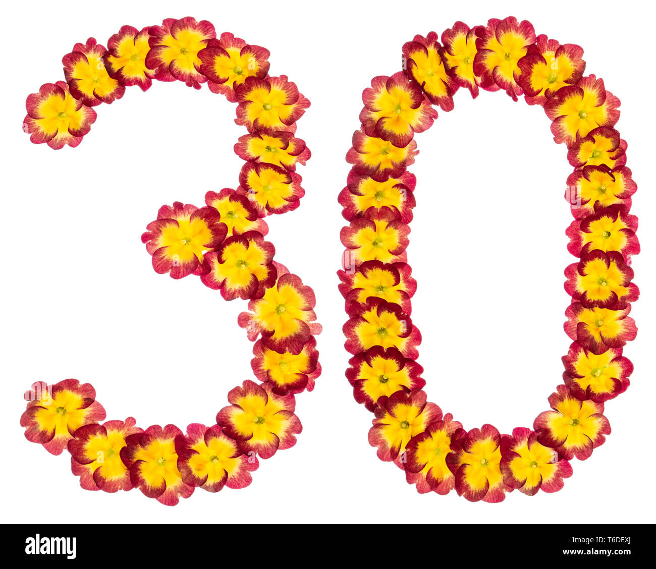 Numeral 30, thirty, from natural flowers of primula, isolated on white ...
