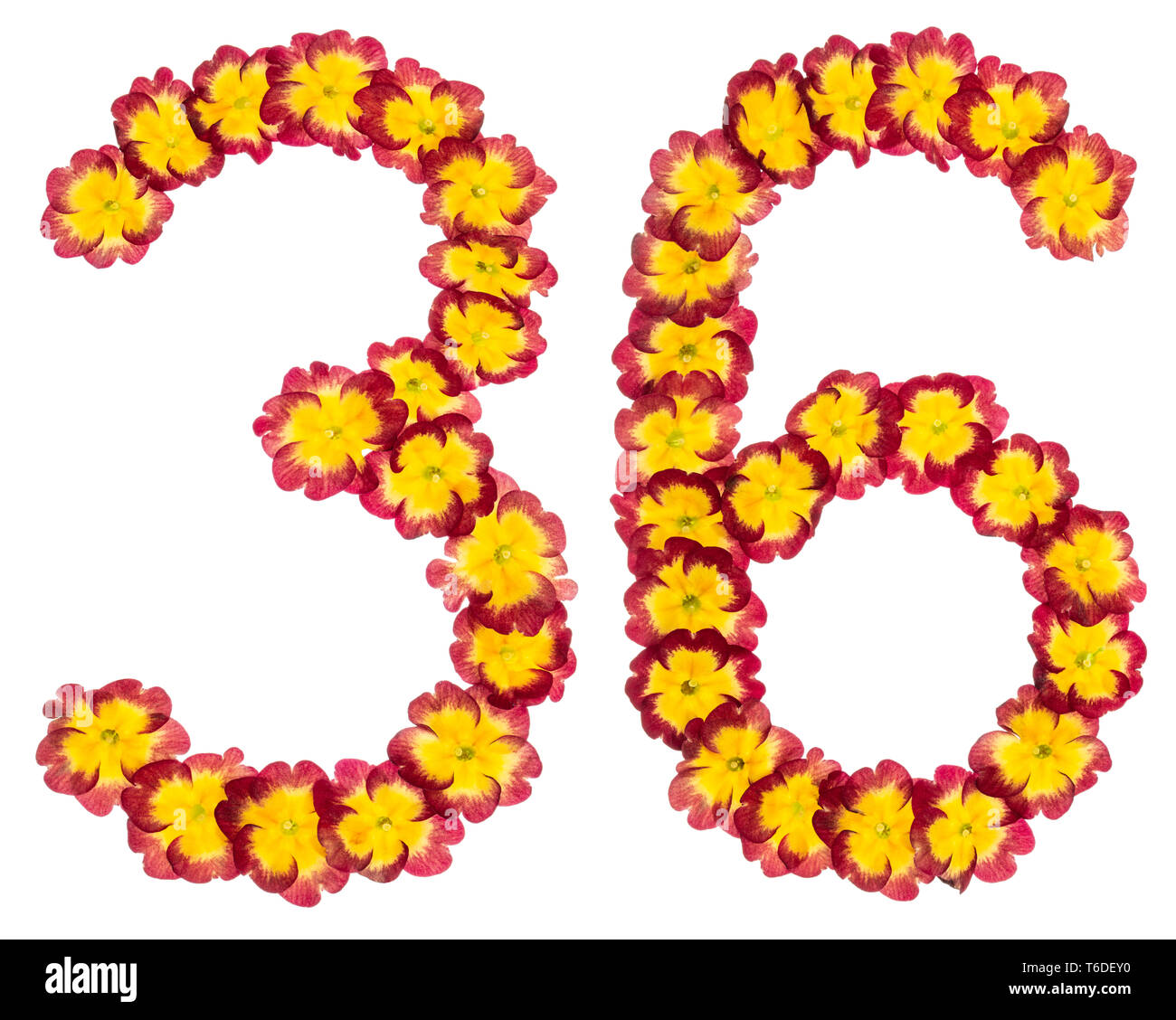 Three cowslip flowers hi-res stock photography and images - Alamy