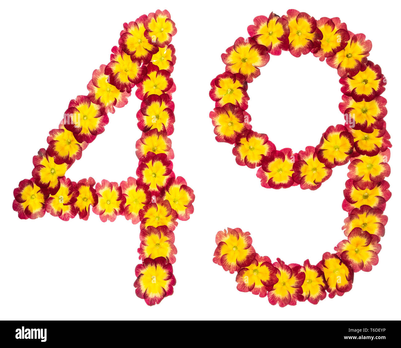 Numeral 49, forty nine, from natural flowers of primula, isolated on ...