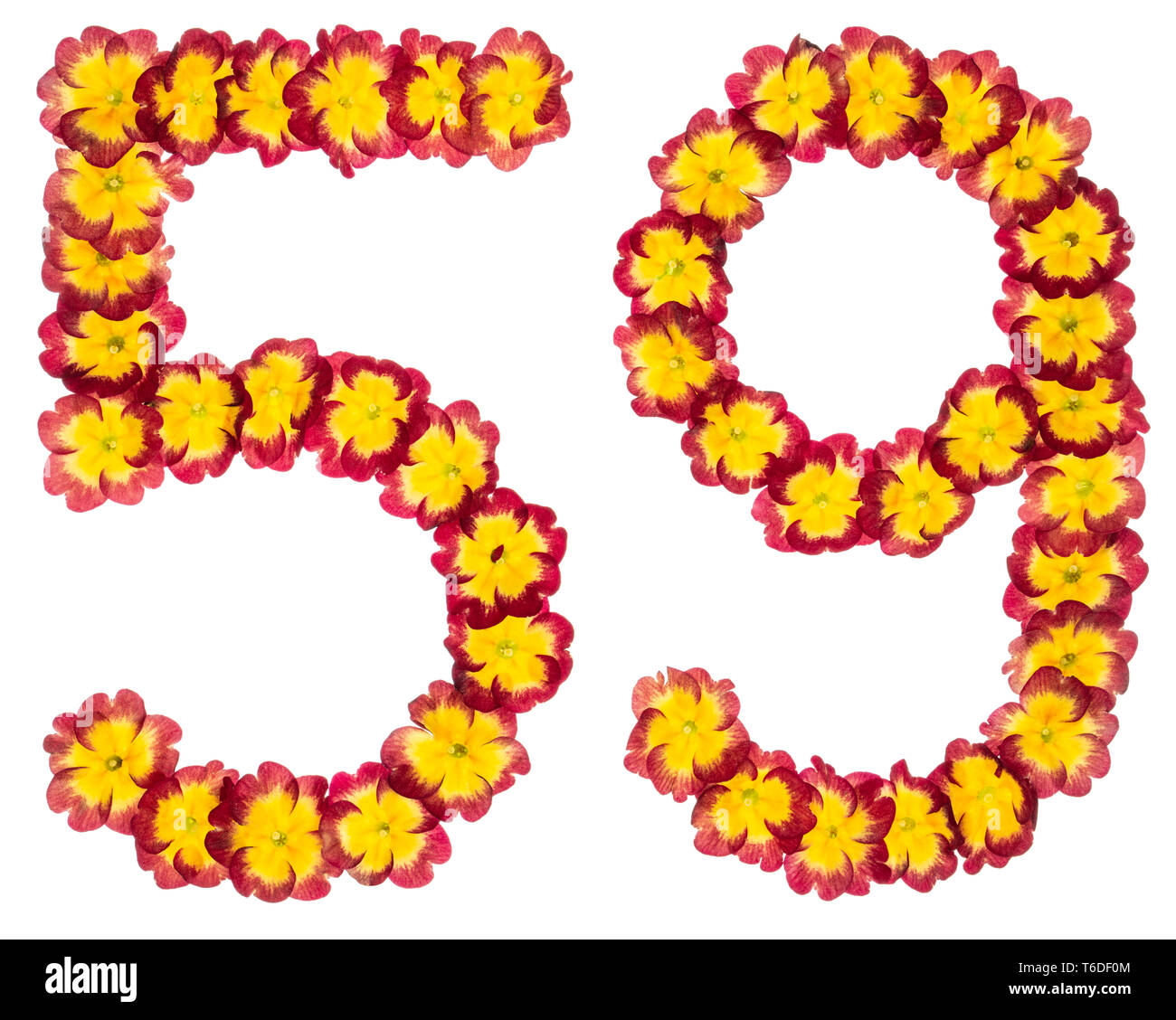 Numeral 59, fifty nine, from natural flowers of primula, isolated on ...