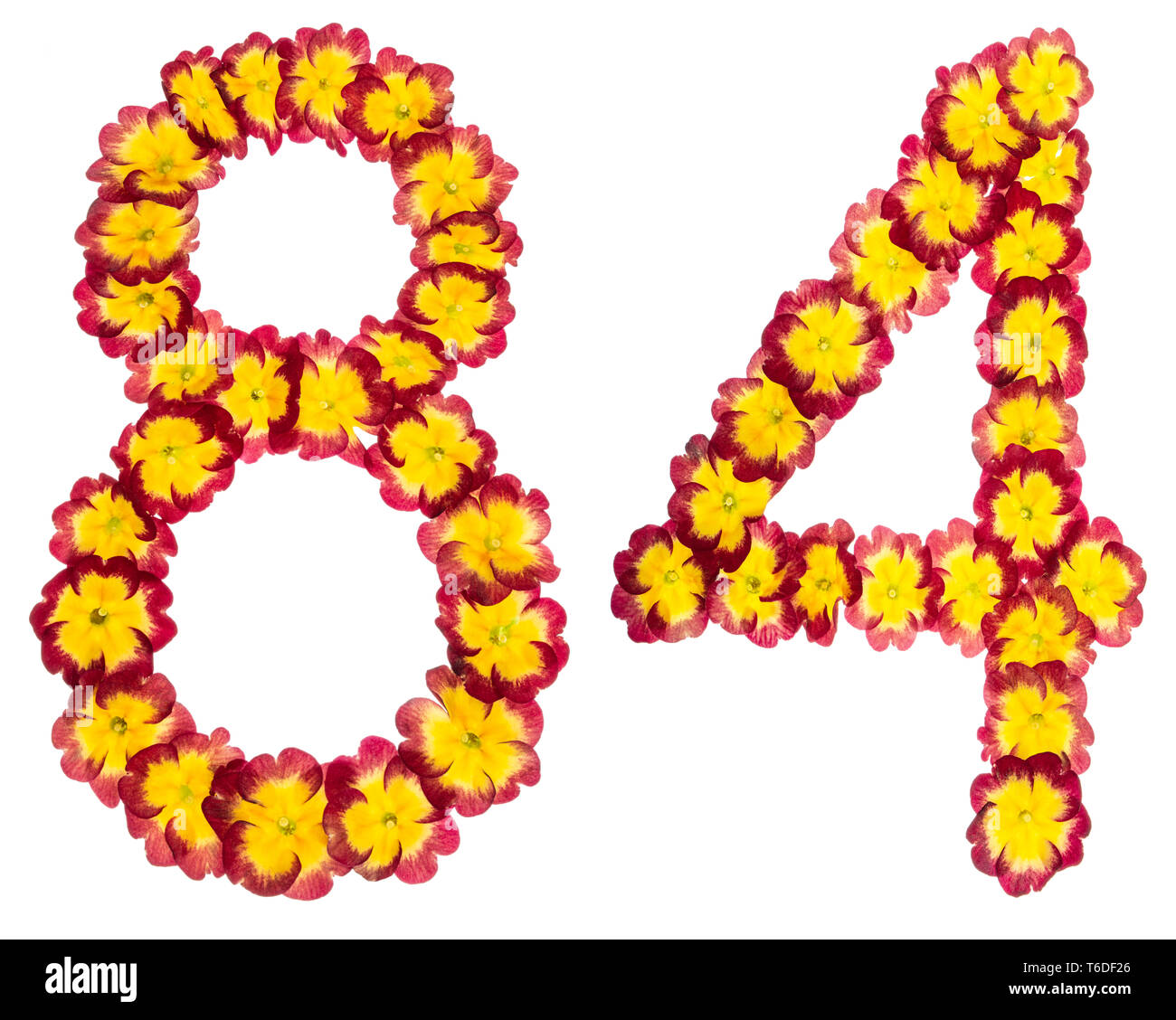 Numeral 84, eighty four, from natural flowers of primula, isolated on ...