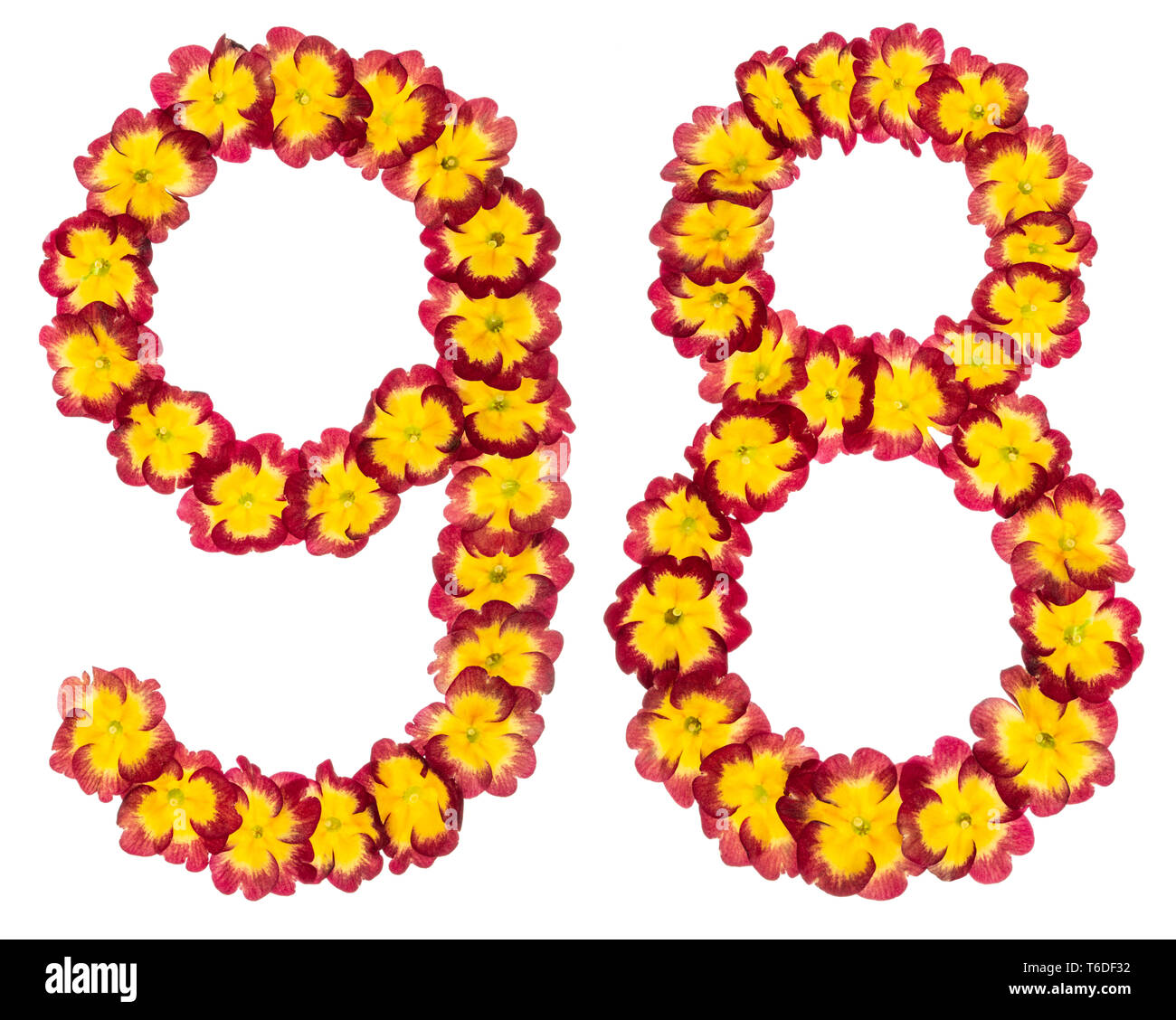 Numeral 98, ninety eight, from natural flowers of primula, isolated on ...