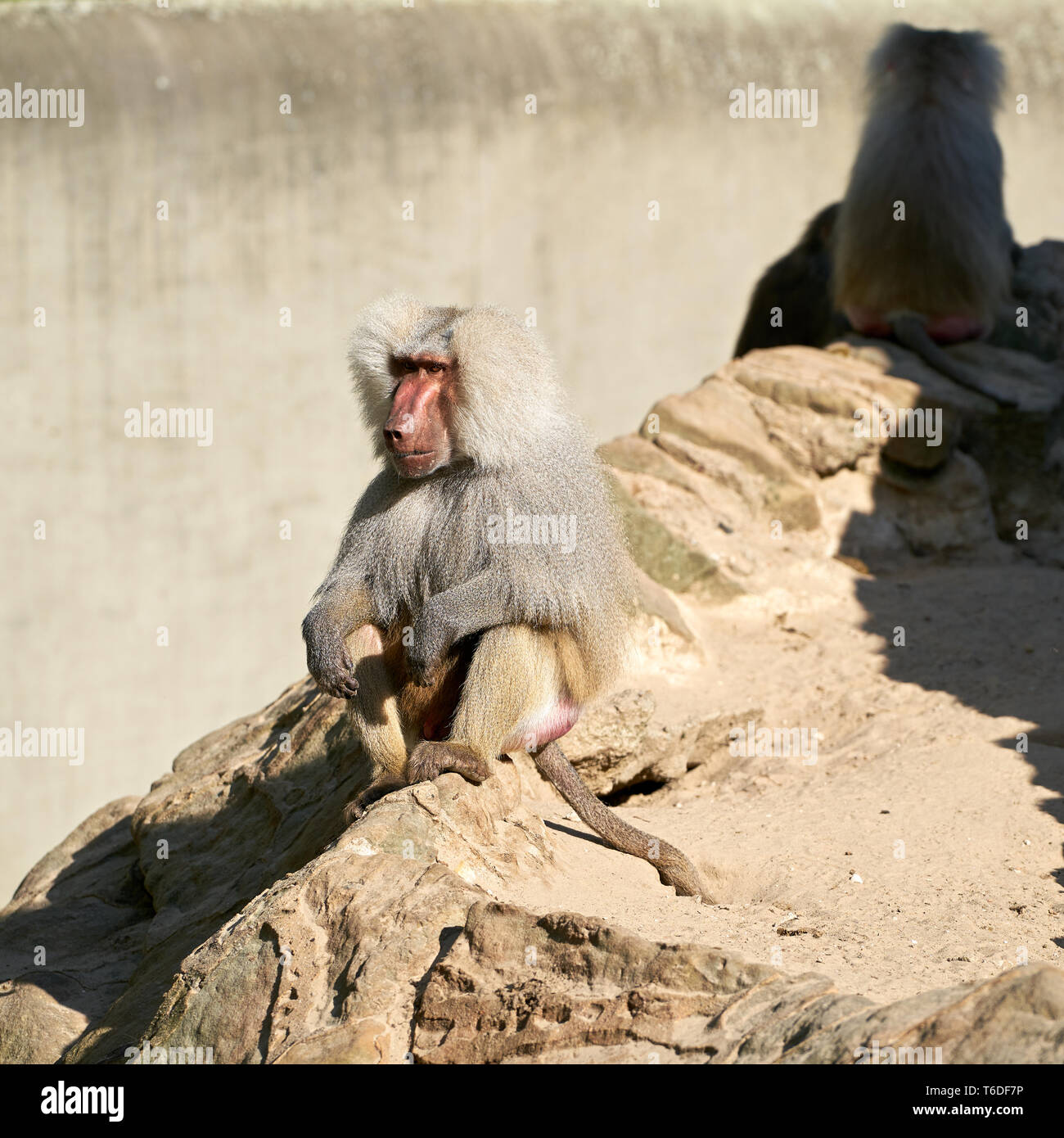 Connservation hi-res stock photography and images - Alamy