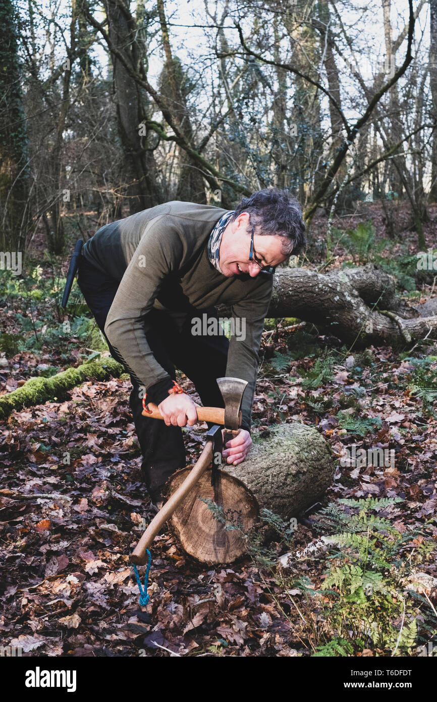Man standing in forest, using axe and hatchet to split tree trunk Stock ...