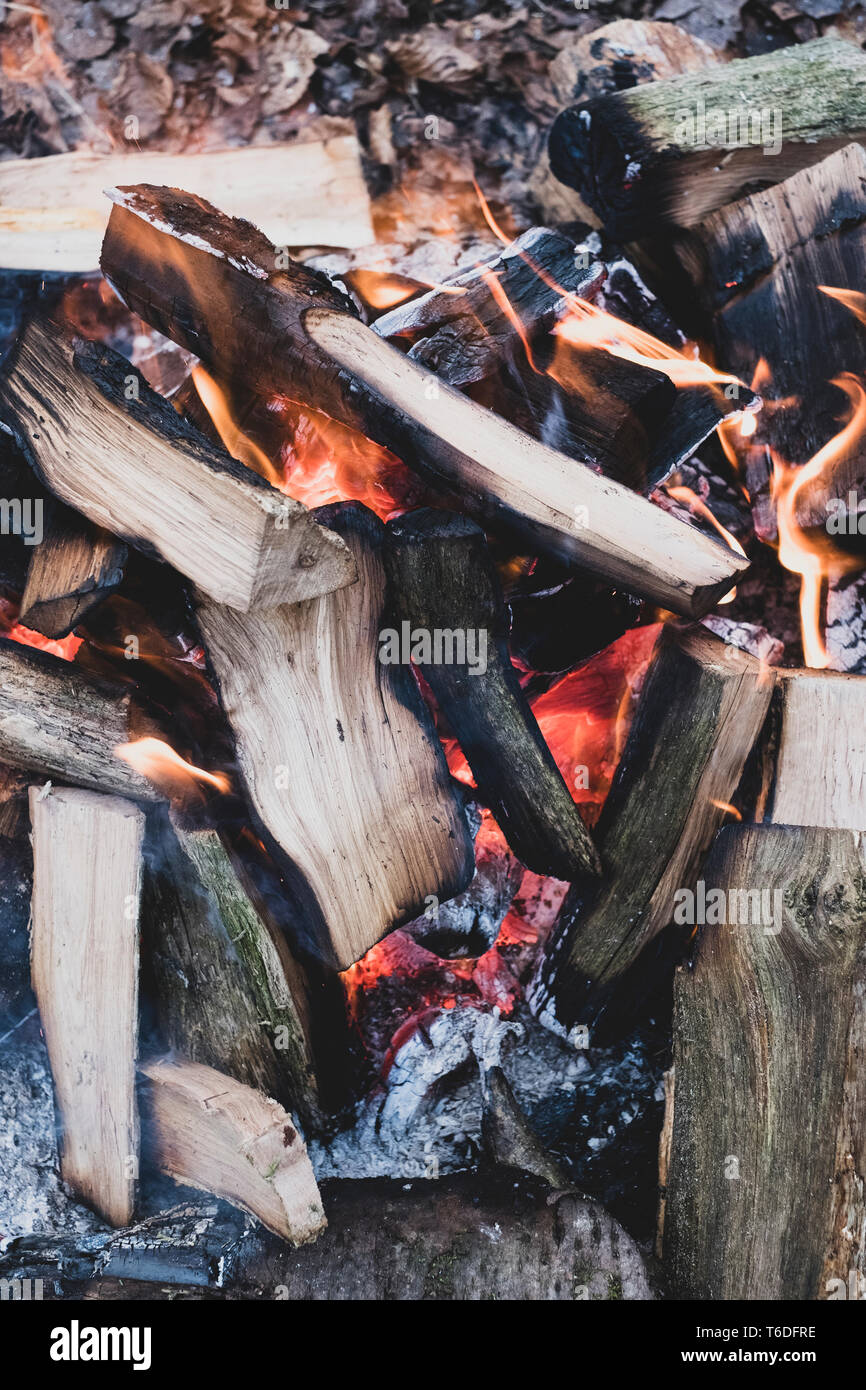 Campfire in the forest hi-res stock photography and images - Alamy
