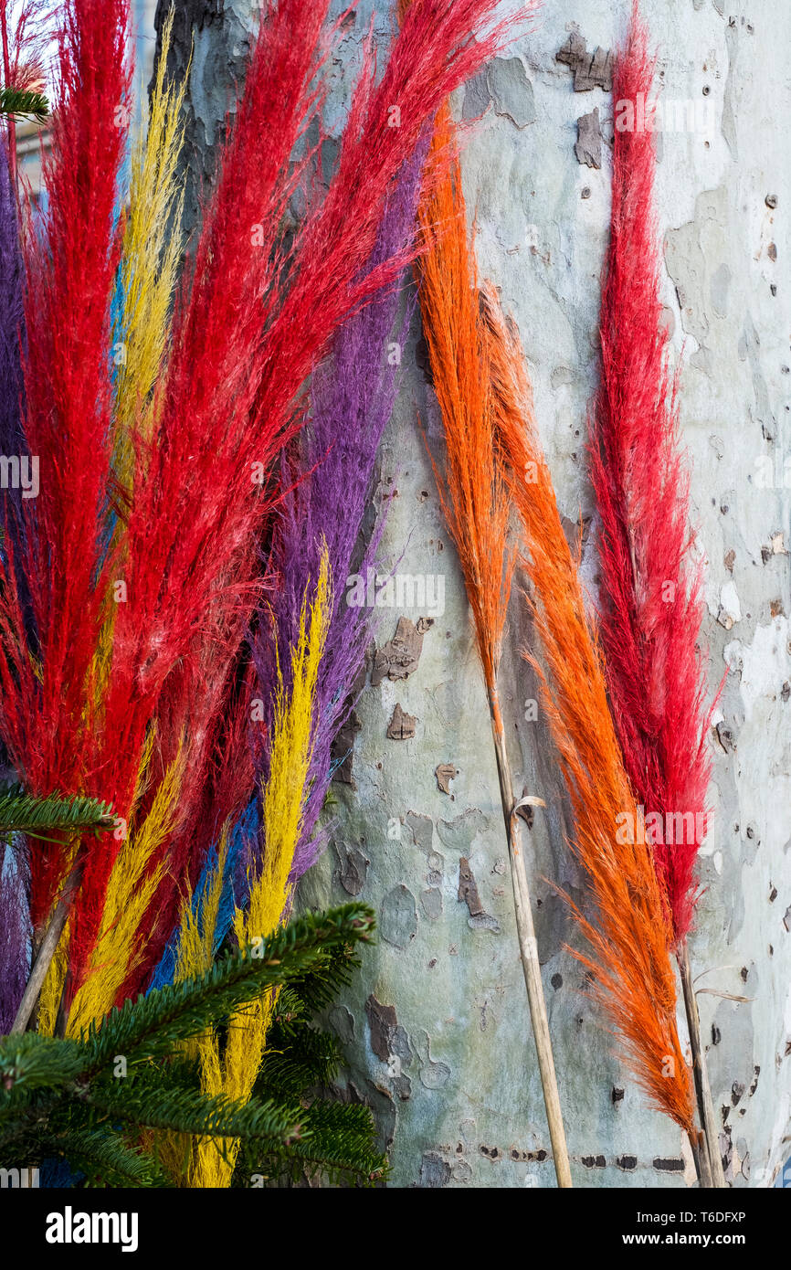 Wispy branches hi-res stock photography and images - Alamy