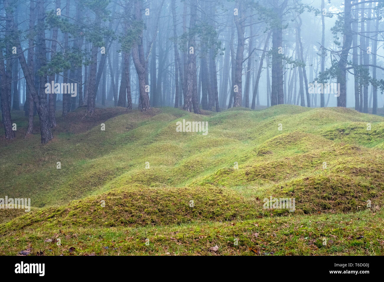 Grass mounds hi-res stock photography and images - Alamy