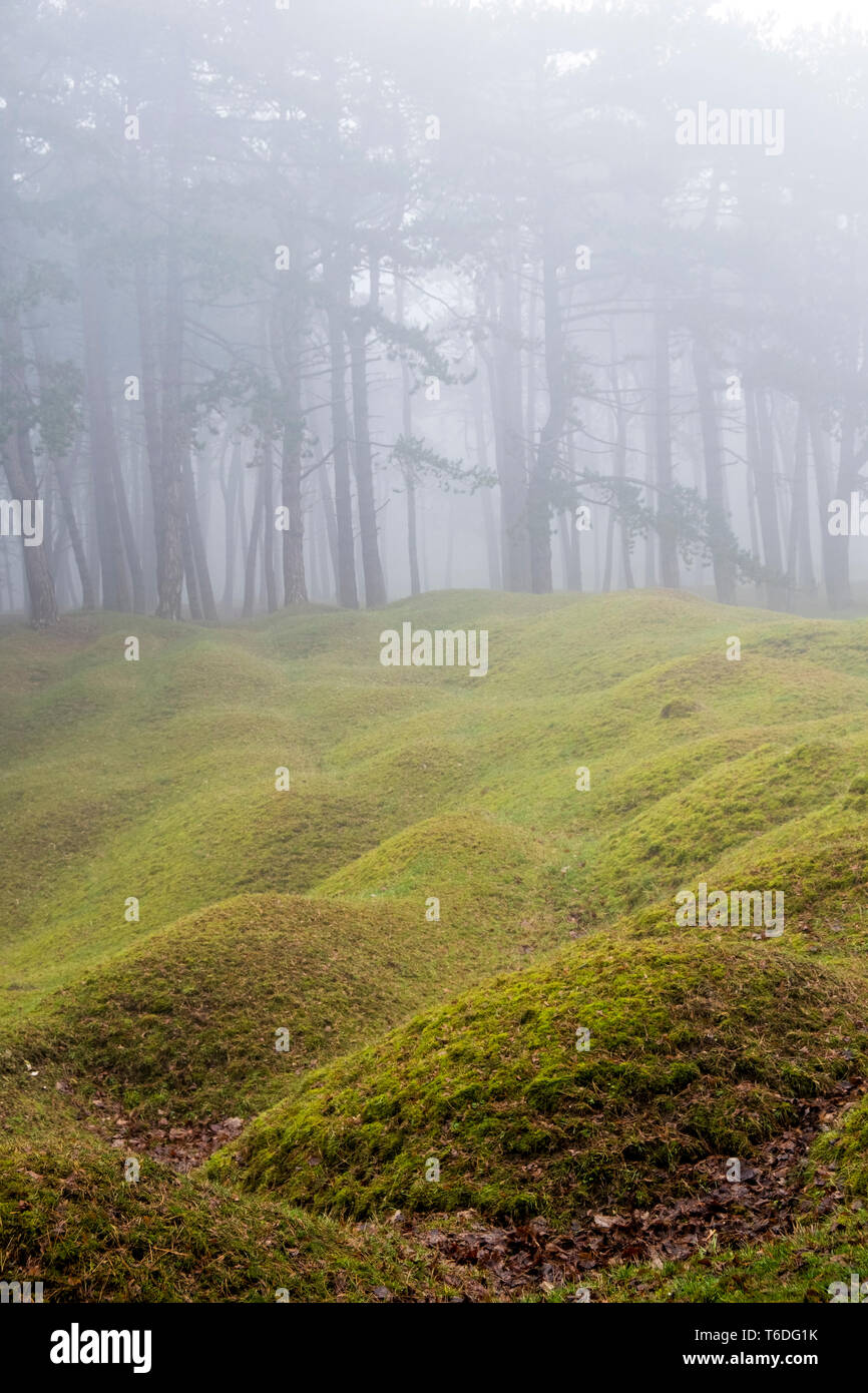 Grass mounds hi-res stock photography and images - Alamy
