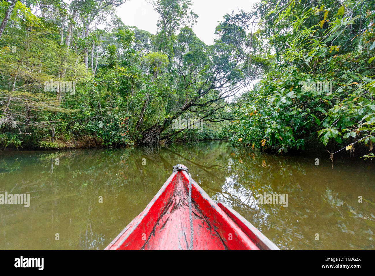 Masoala National Park landscape, Madagascar Stock Photo - Alamy