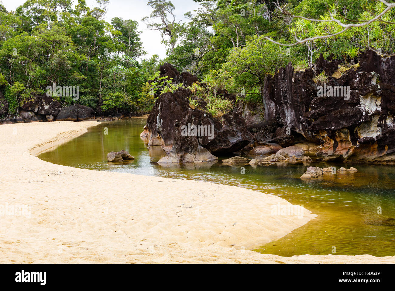 Masoala National Park Landscape Madagascar Stock Photo Alamy Masoala National Park Landscape Madagascar Stock Photo Alamy