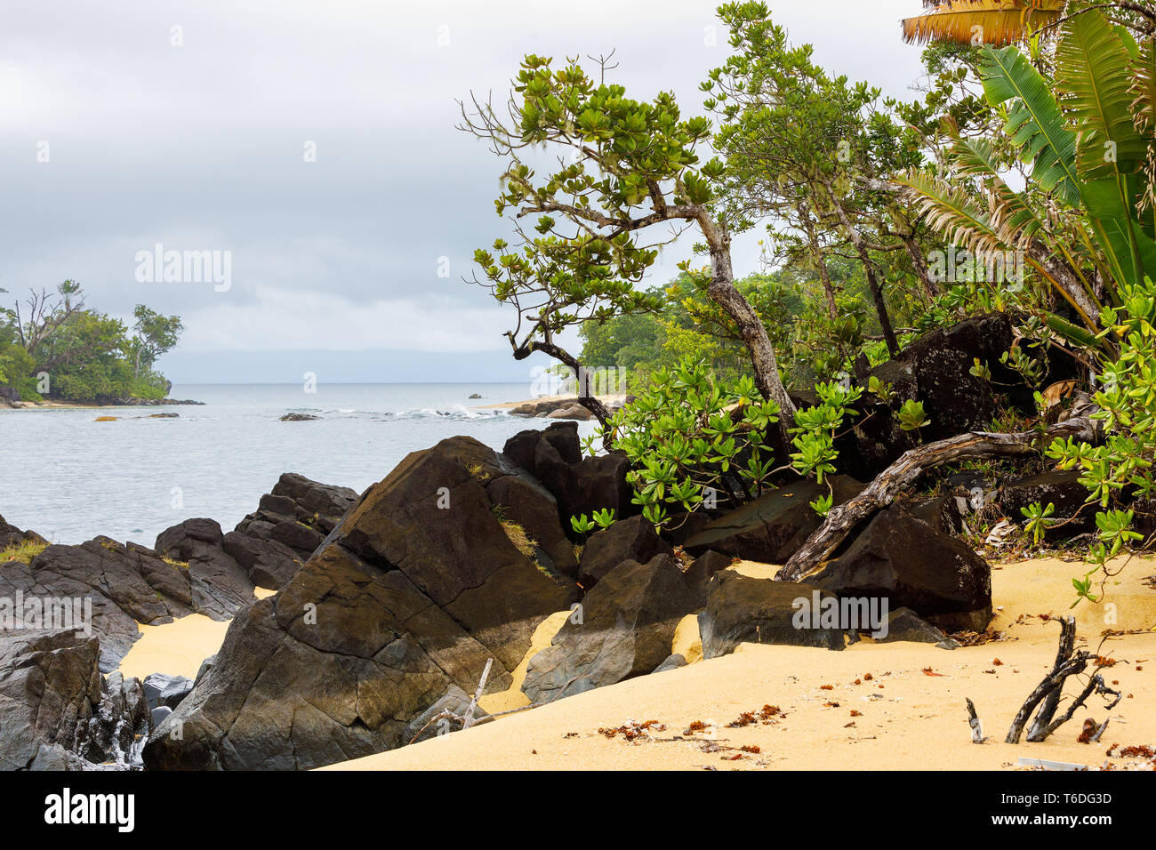 Masoala National Park landscape, Madagascar Stock Photo - Alamy